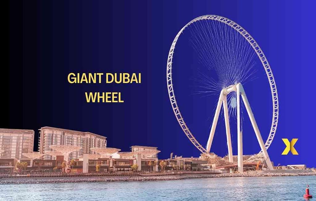 Things to Do & Reviews