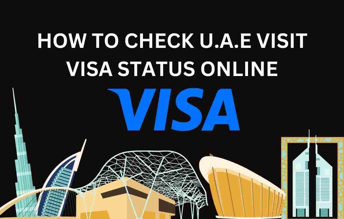 How to check dubai U.a.e visit visa status online by Passport /file validity - DXBIFY